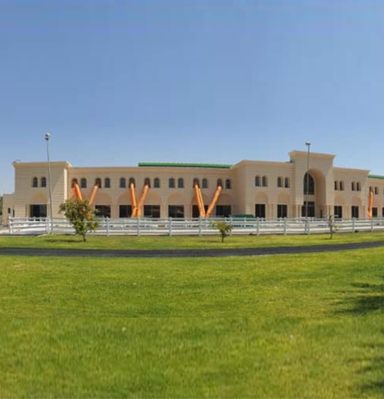 Abu Dhabi Equestrain Club – Potential Contracting